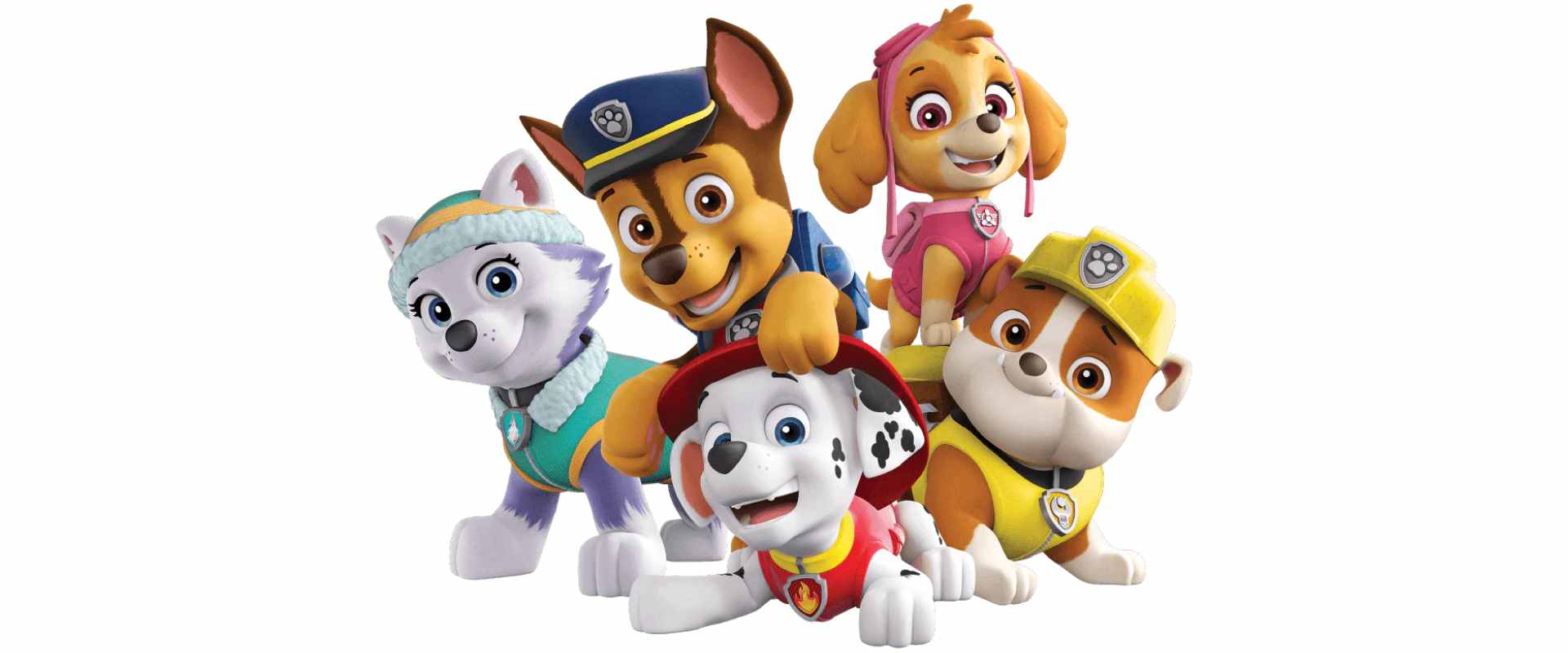 PAW Patrol Meet the Pups! | Characters | Roy's Boys