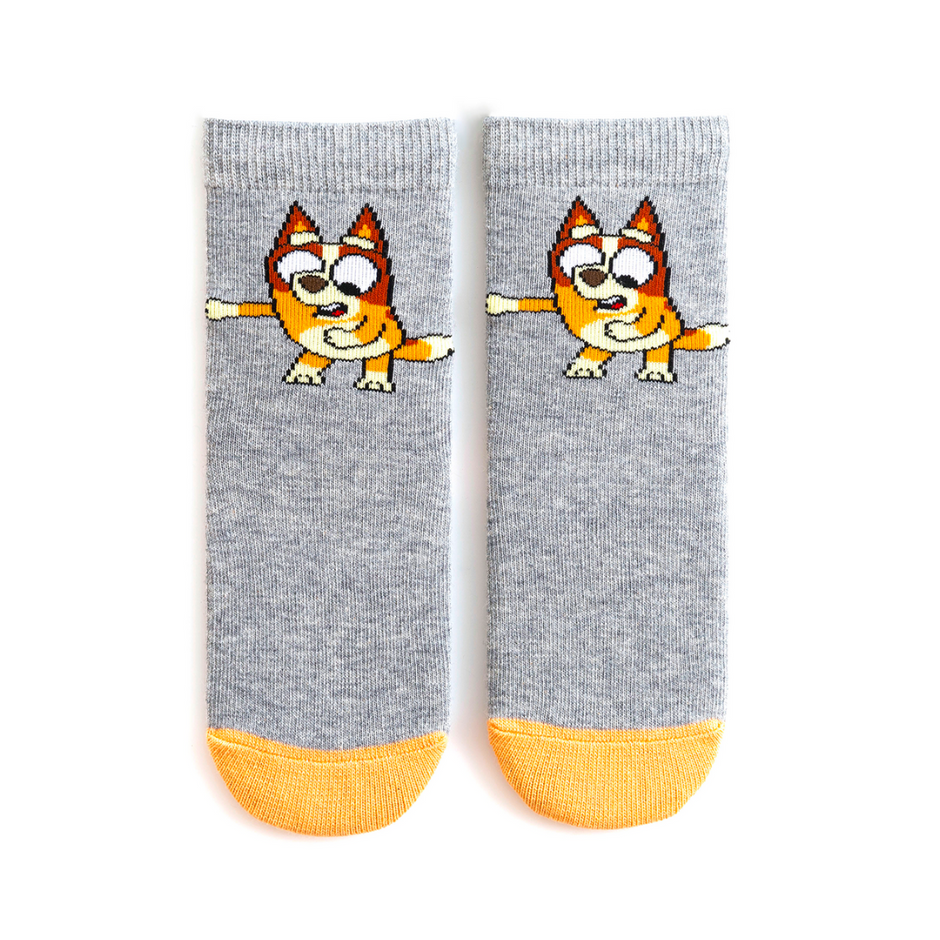 Bluey Socks | Kids and Adult Socks | Roy's Boys