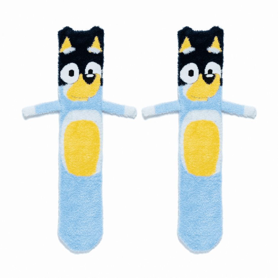 Bluey Family Socks | Character Socks | Roy's Boys