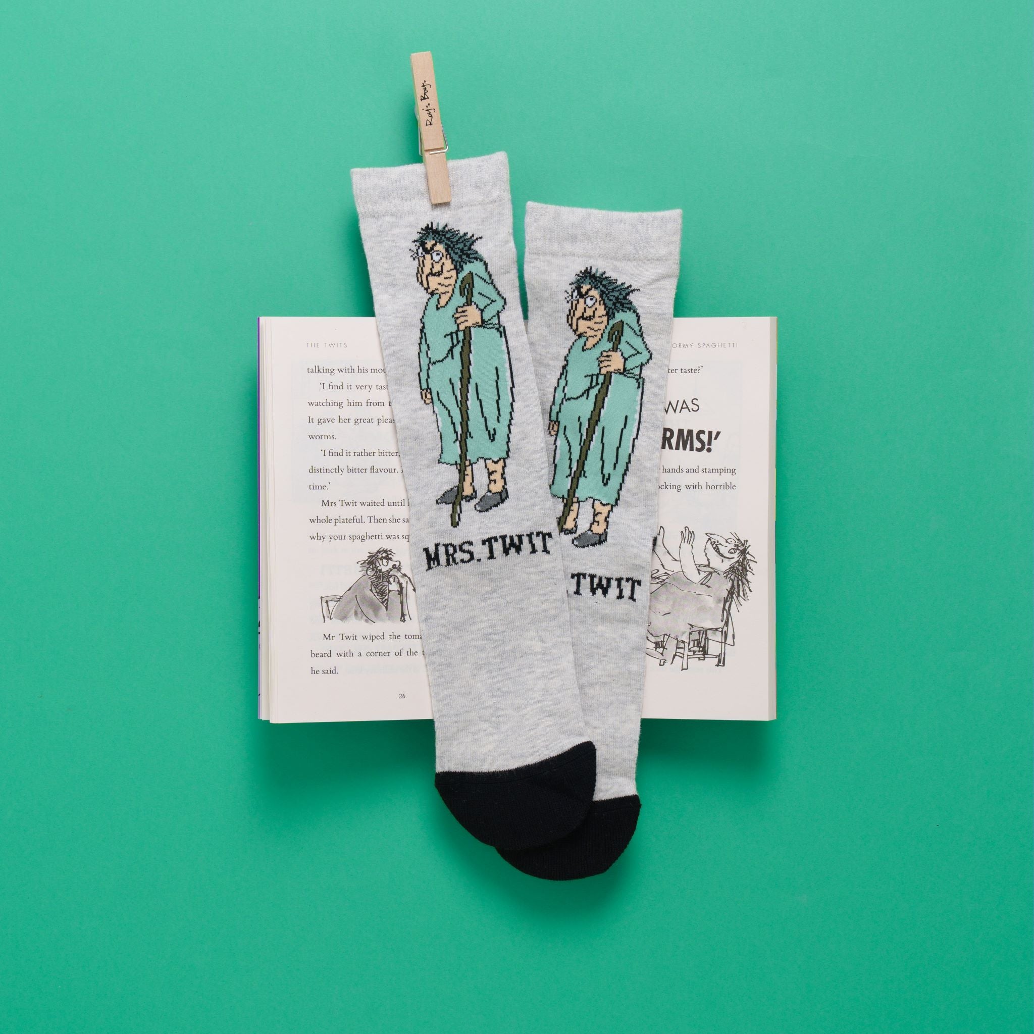 Roald Dahl's 'The Twits' Book | Roy's Boys