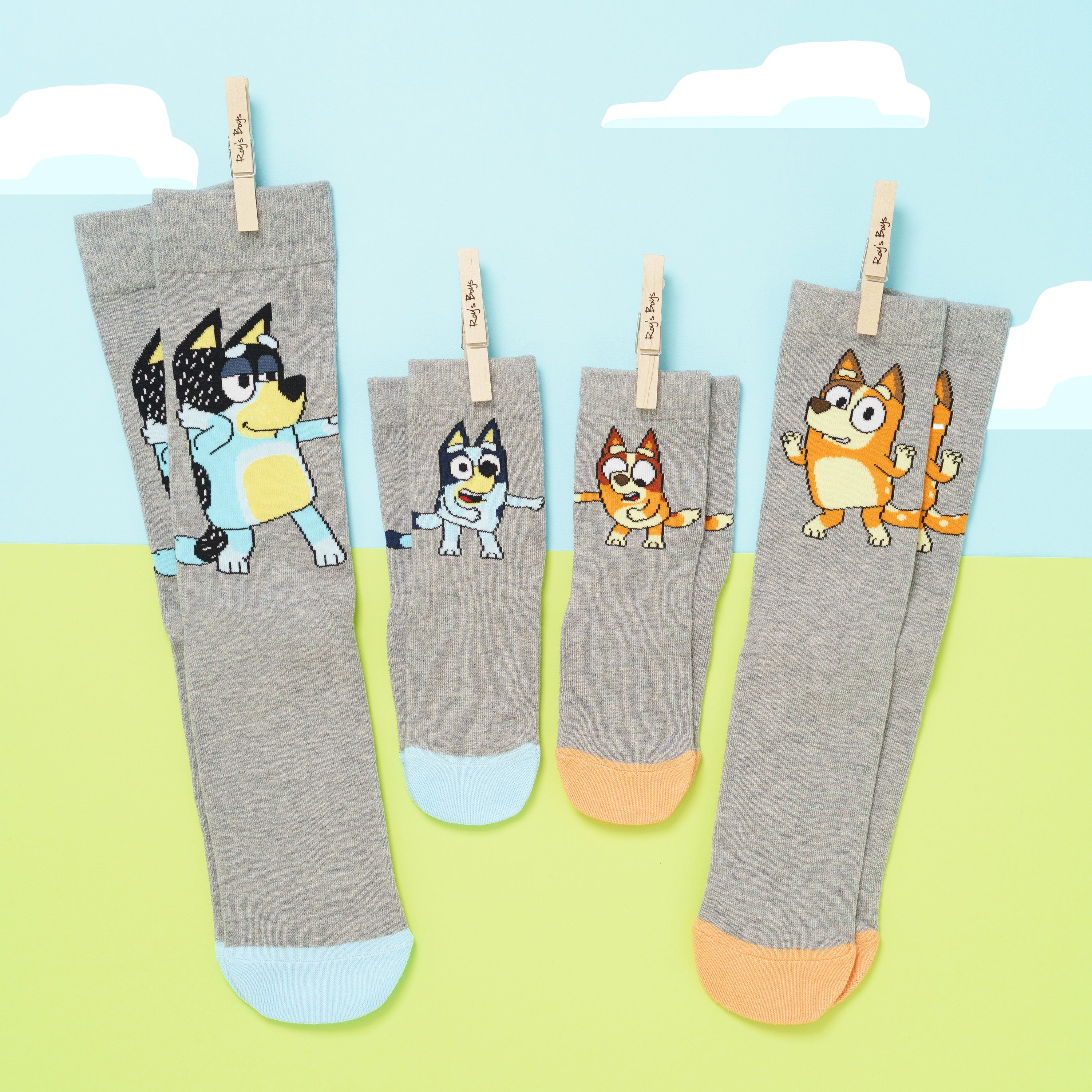 Bluey Socks | Kids and Adult Socks | Roy's Boys