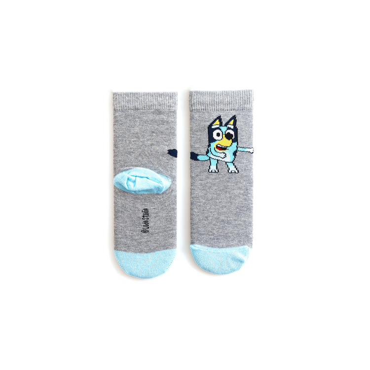 Bluey Children's Socks | Official Bluey Socks | Roy's Boys