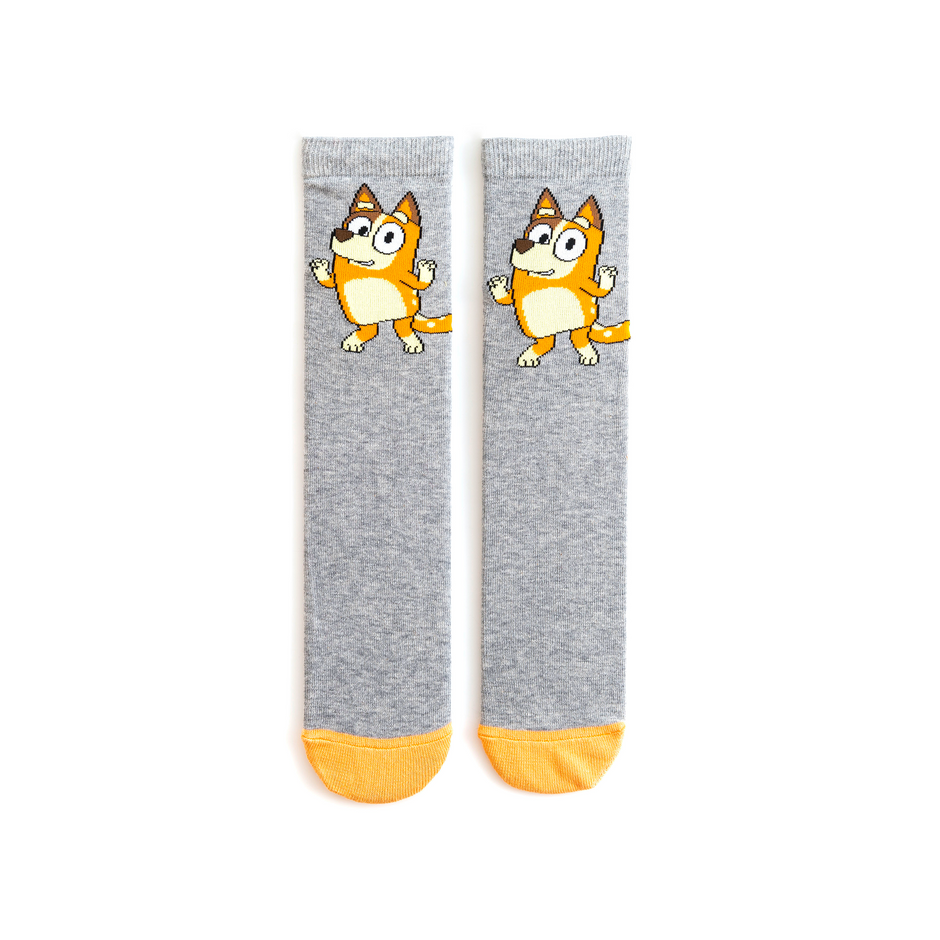 Bluey Socks | Kids and Adult Socks | Roy's Boys