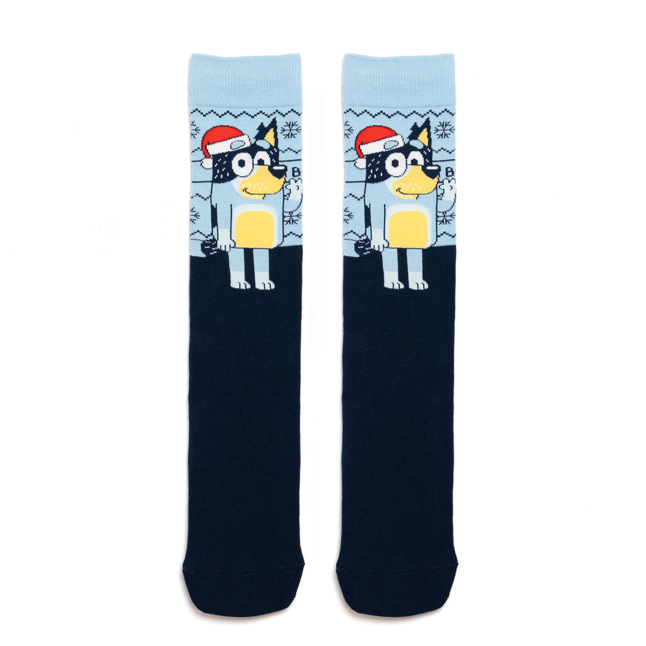 Bluey Socks | Kids and Adult Socks | Roy's Boys